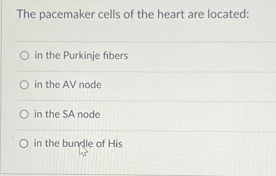Solved The pacemaker cells of the heart are located:in the | Chegg.com