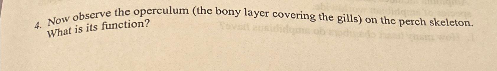 Now observe the operculum (the bony layer covering | Chegg.com