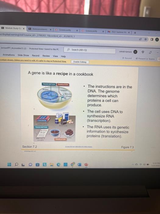 A gene is like a recipe in a cookbook - The | Chegg.com