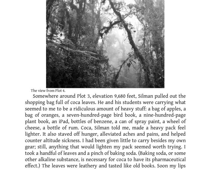 Solved Describe Miles Silman's study by matching the part of | Chegg.com