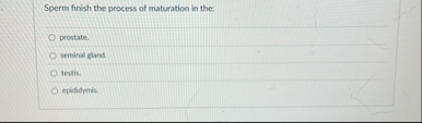 [Solved]: Sperm finish the process of maturation in the: pro