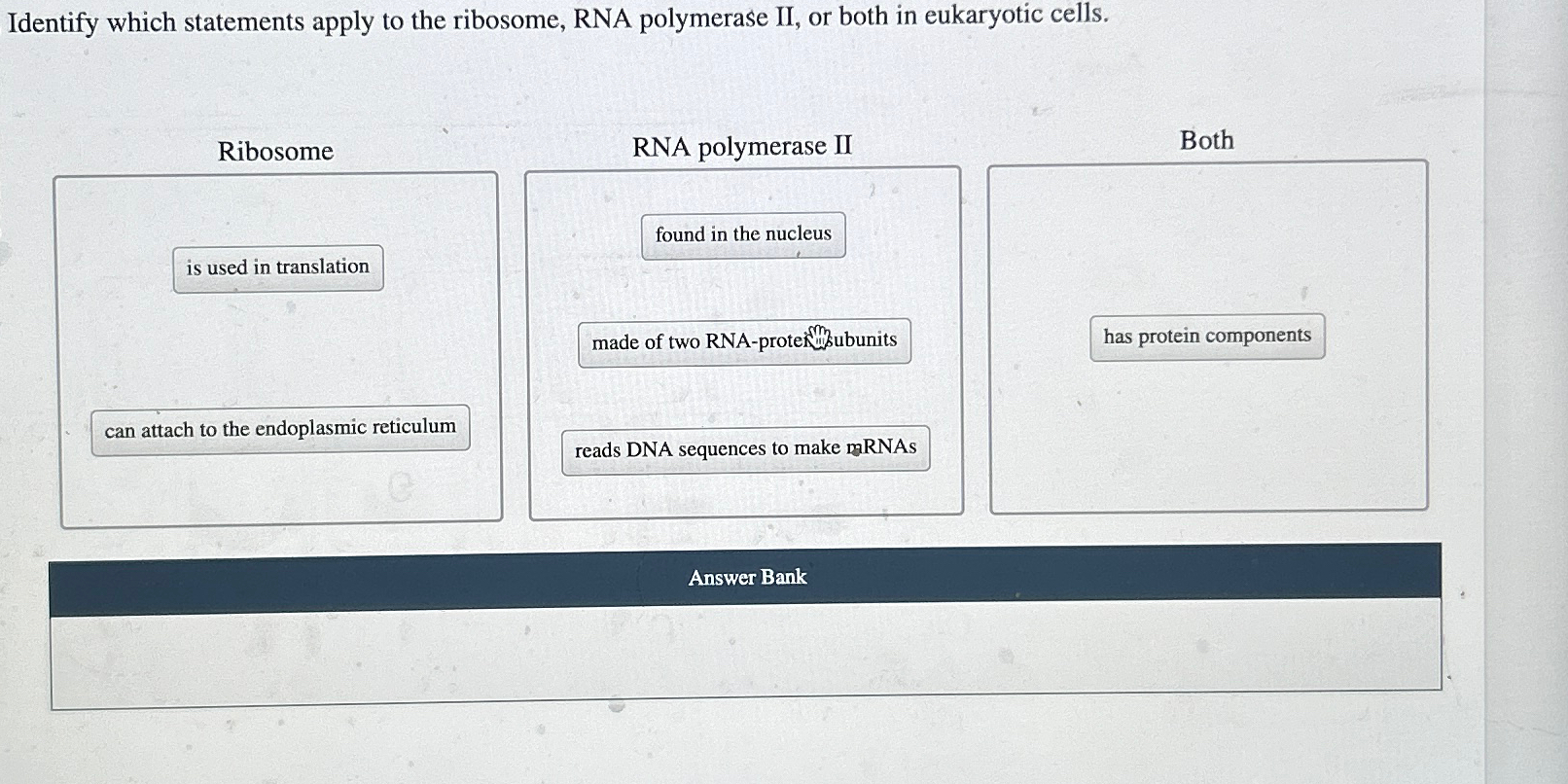 Solved Identify which statements apply to the ribosome, RNA | Chegg.com