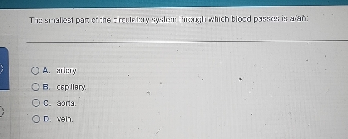Solved The smallest part of the circulatory system through | Chegg.com