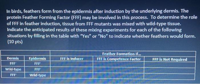 In birds, feathers form from the epidermis after | Chegg.com