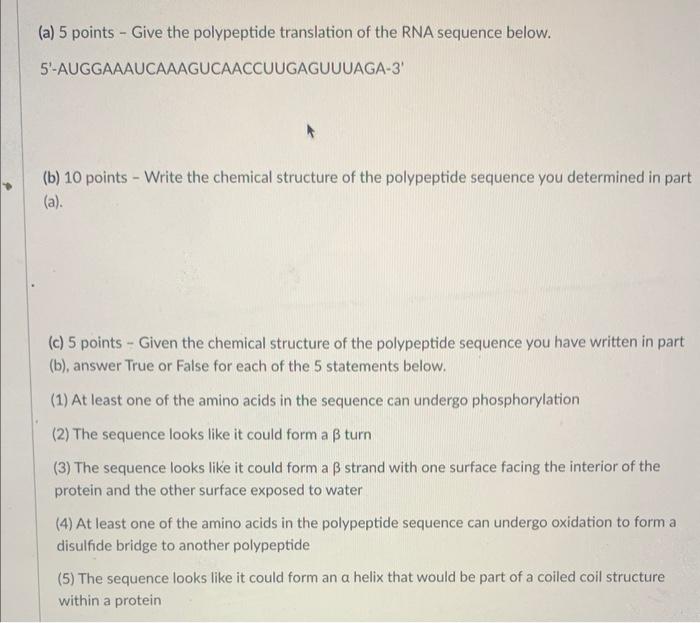 Solved (a) 5 points - Give the polypeptide translation of | Chegg.com