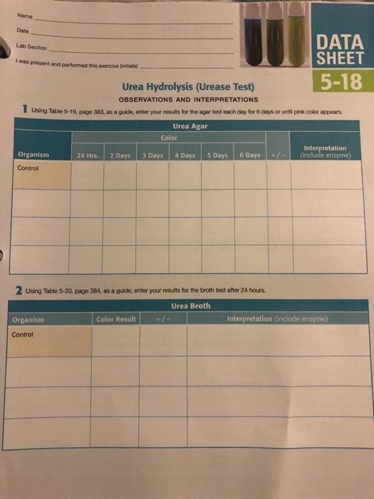 NA Date Lab Section DATA SHEET I was present and | Chegg.com