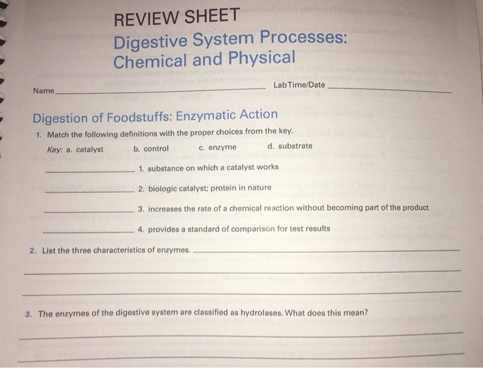 Solved REVIEW SHEET Digestive System Processes: Chemical and | Chegg.com