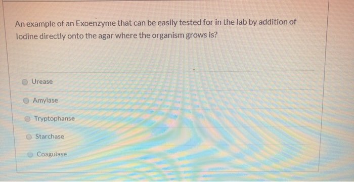 Solved An example of an Exoenzyme that can be easily tested | Chegg.com