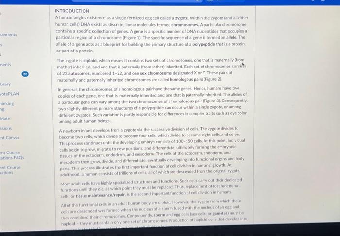 Solved A human begins existence is a single fertilized egs | Chegg.com
