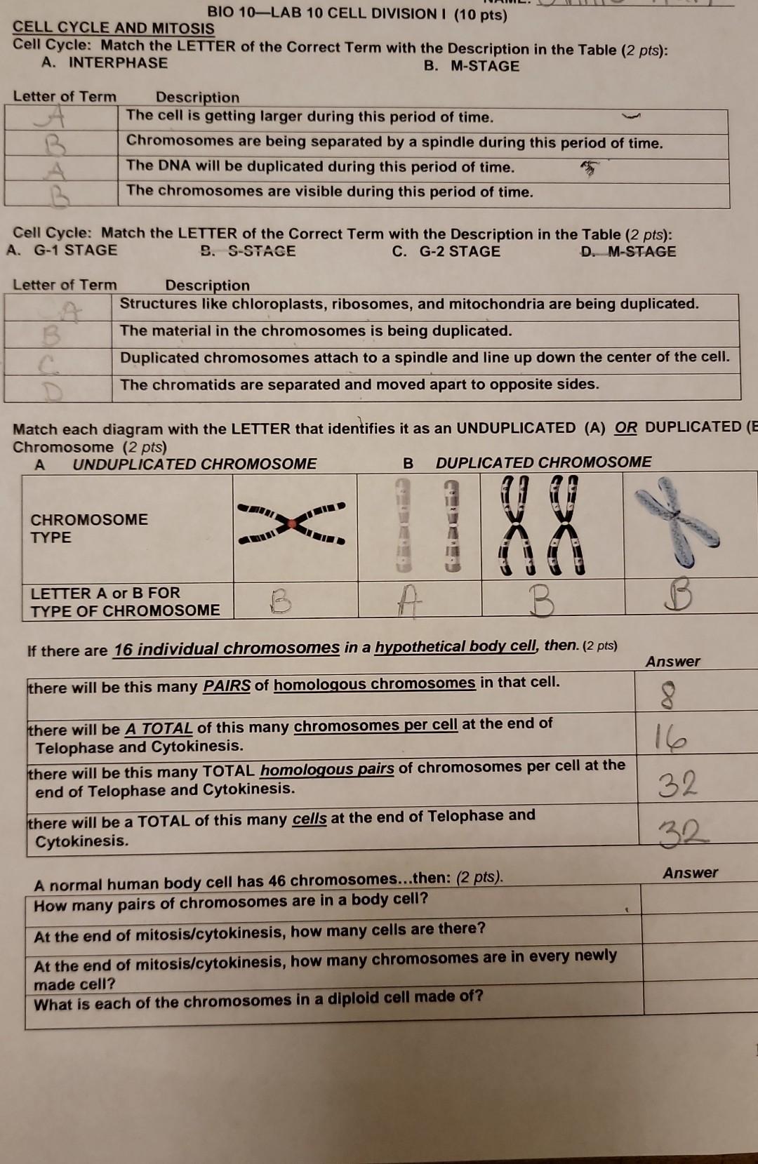 Solved CELL CYCLE AND MITOSIS Cell Cycle: Match the LETTER | Chegg.com