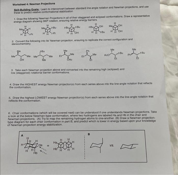 Solved Worksheet 4: Newman Projections Skill-Building Goals: | Chegg.com