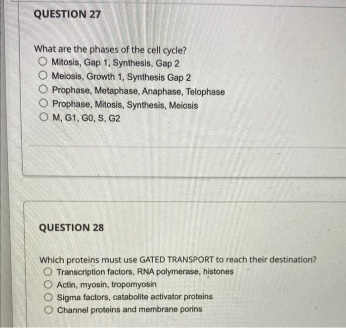 Solved What are the phases of the cell cycle? Mitosis, Gap | Chegg.com