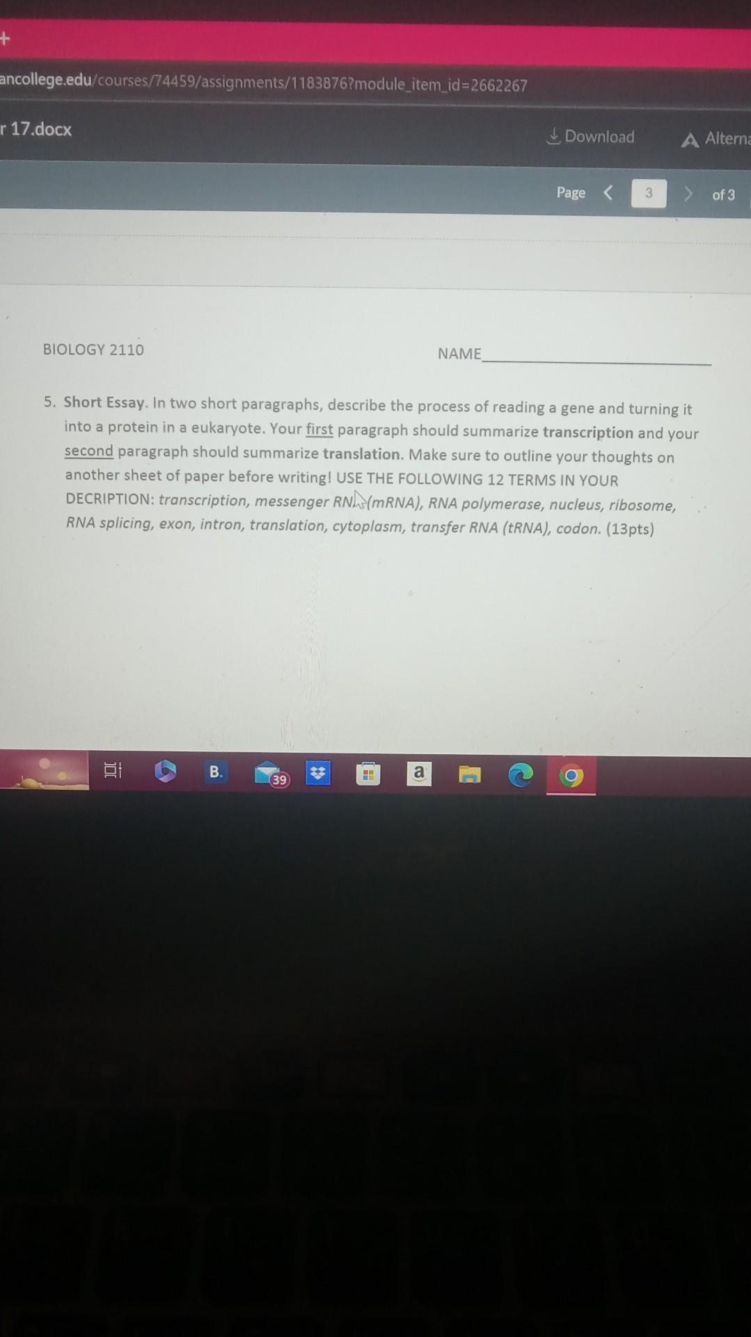 Solved 5. Short Essay. In two short paragraphs, describe the | Chegg.com