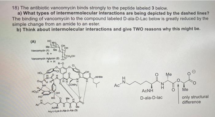 Solved 18) The antibiotic vancomycin binds strongly to the | Chegg.com
