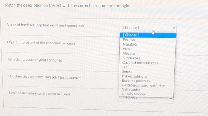 Solved Match the description on the left with the correct | Chegg.com