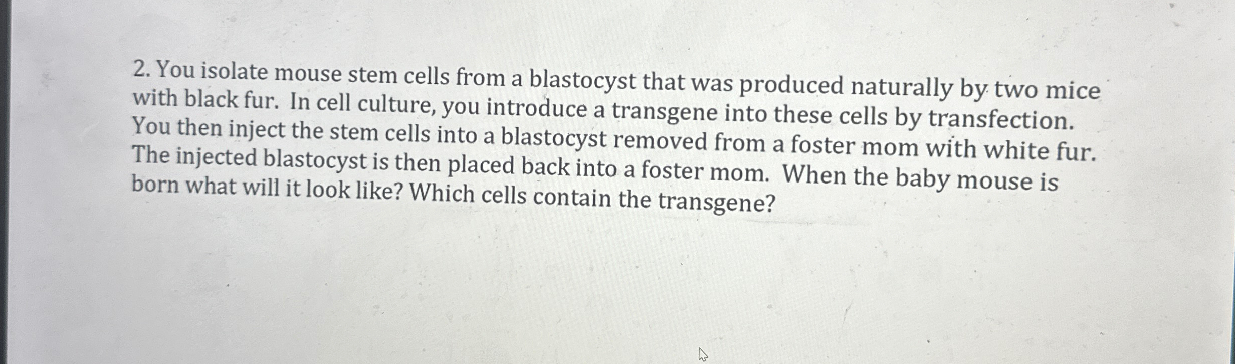 Solved You isolate mouse stem cells from a blastocyst that | Chegg.com