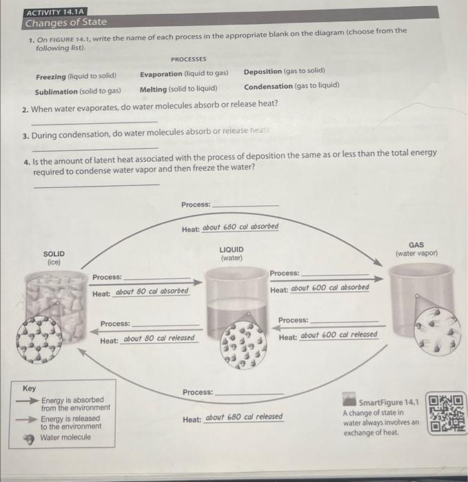 Solved 1. On FIGURE 14.1, write the name of each process in | Chegg.com