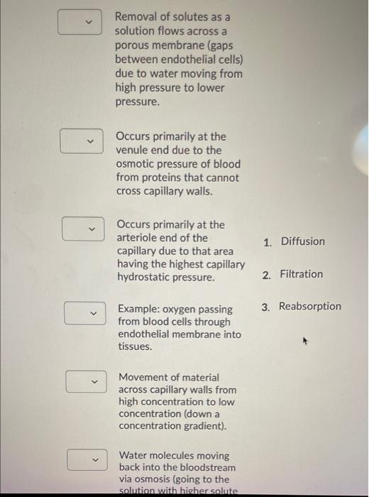 Solved Match the following processes involved in capillary | Chegg.com