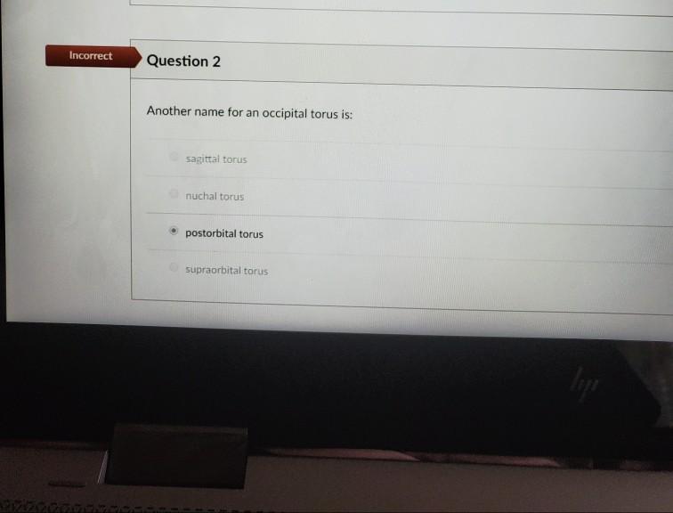 Solved Incorrect Question 2 Another name for an occipital | Chegg.com