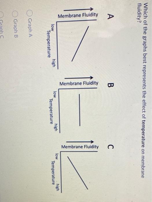 Solved Which of the graphs best represents the effect of | Chegg.com