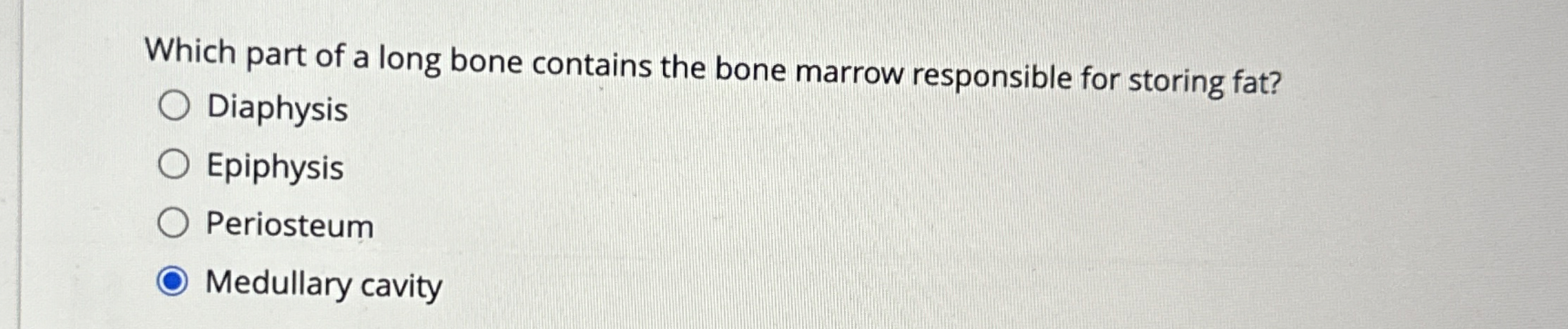 Solved Which part of a long bone contains the bone marrow | Chegg.com