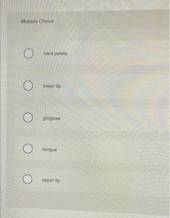 Solved Which structure is highlighted? Multiple Choice O | Chegg.com