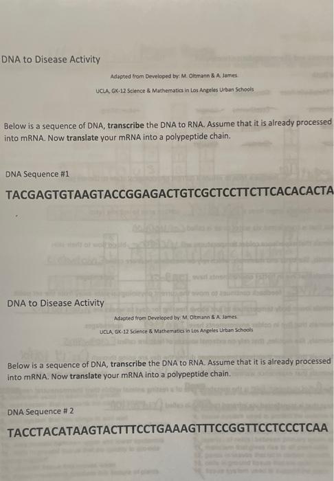 Solved Below is a sequence of DNA, transcribe the DNA to | Chegg.com