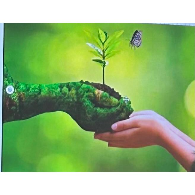 Solved Can you write a hook sentence introduction paragraph | Chegg.com