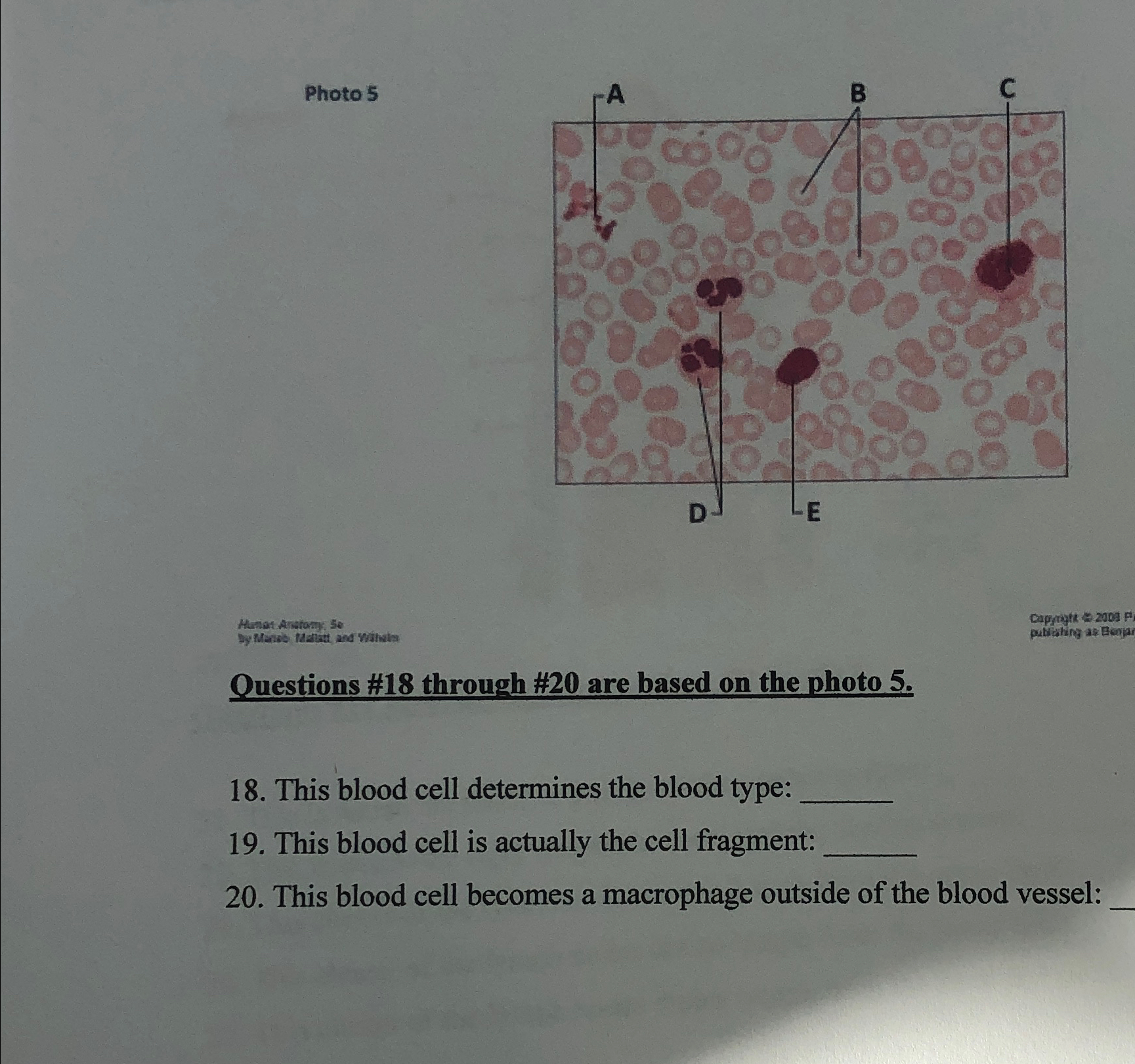 Solved Photo 5Hander Aratamy 5by Mast madiat and | Chegg.com