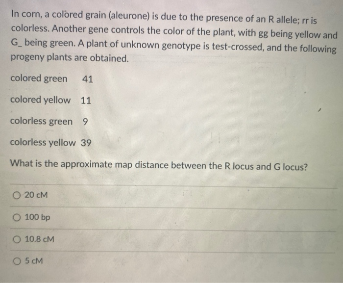 Solved In corn, a colored grain (aleurone) is due to the | Chegg.com