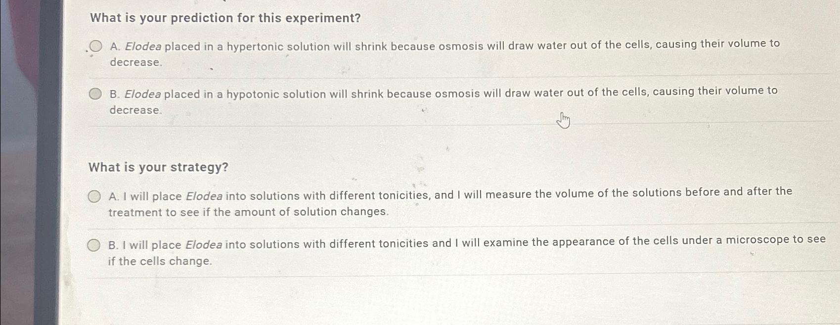 Solved What is your prediction for this experiment?A. | Chegg.com