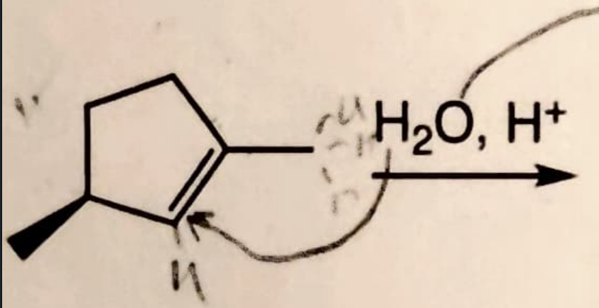 Solved predict the major product and include stereochem and | Chegg.com