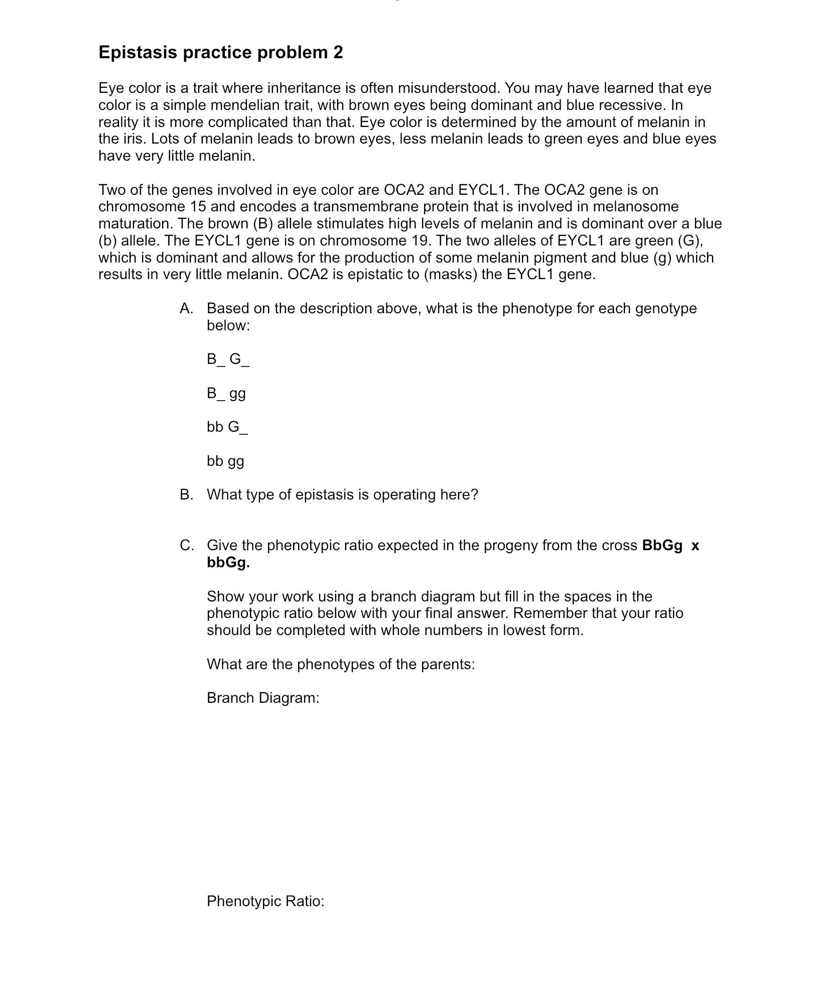 Solved Epistasis practice problem 2Eye color is a trait | Chegg.com