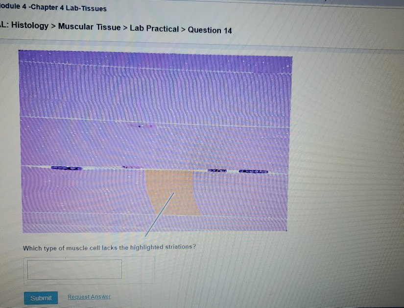 Solved Hodule 4 -Chapter 4 Lab-Tissues L: Histology > | Chegg.com