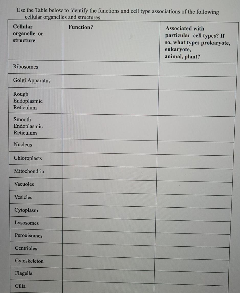 Solved Use the Table below to identify the functions and | Chegg.com