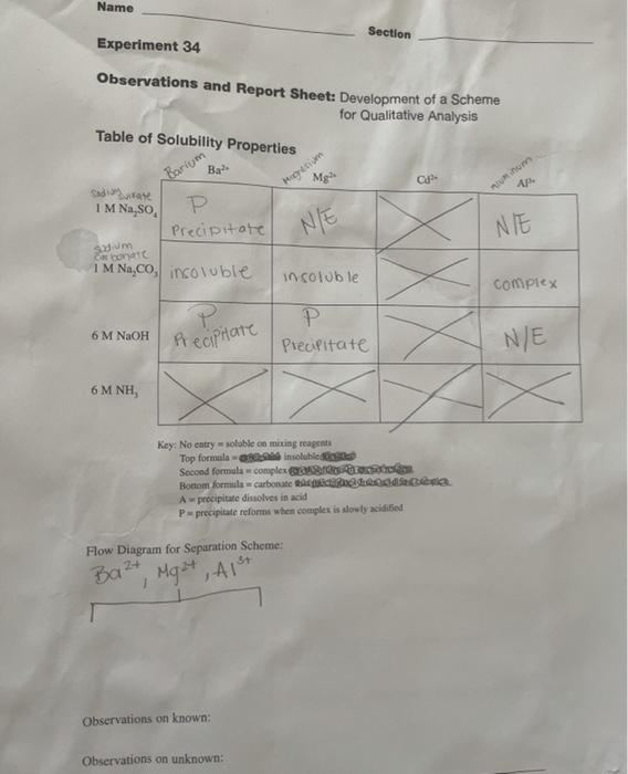 Solved Name Section Experiment 34 Observations and Report | Chegg.com