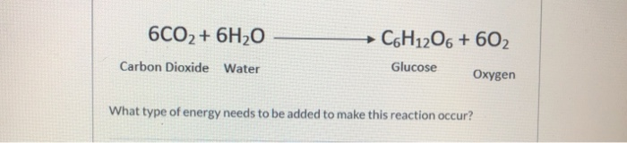 Solved 6CO2 + 6H20 → C6H12O6 + 602 Glucose Oxygen Carbon | Chegg.com