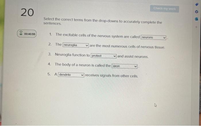 Solved Explain the emergence and purpose of the | Chegg.com