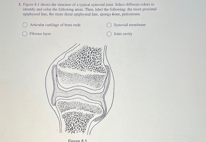 3. Figure 8.1 shows the structure of a typical | Chegg.com