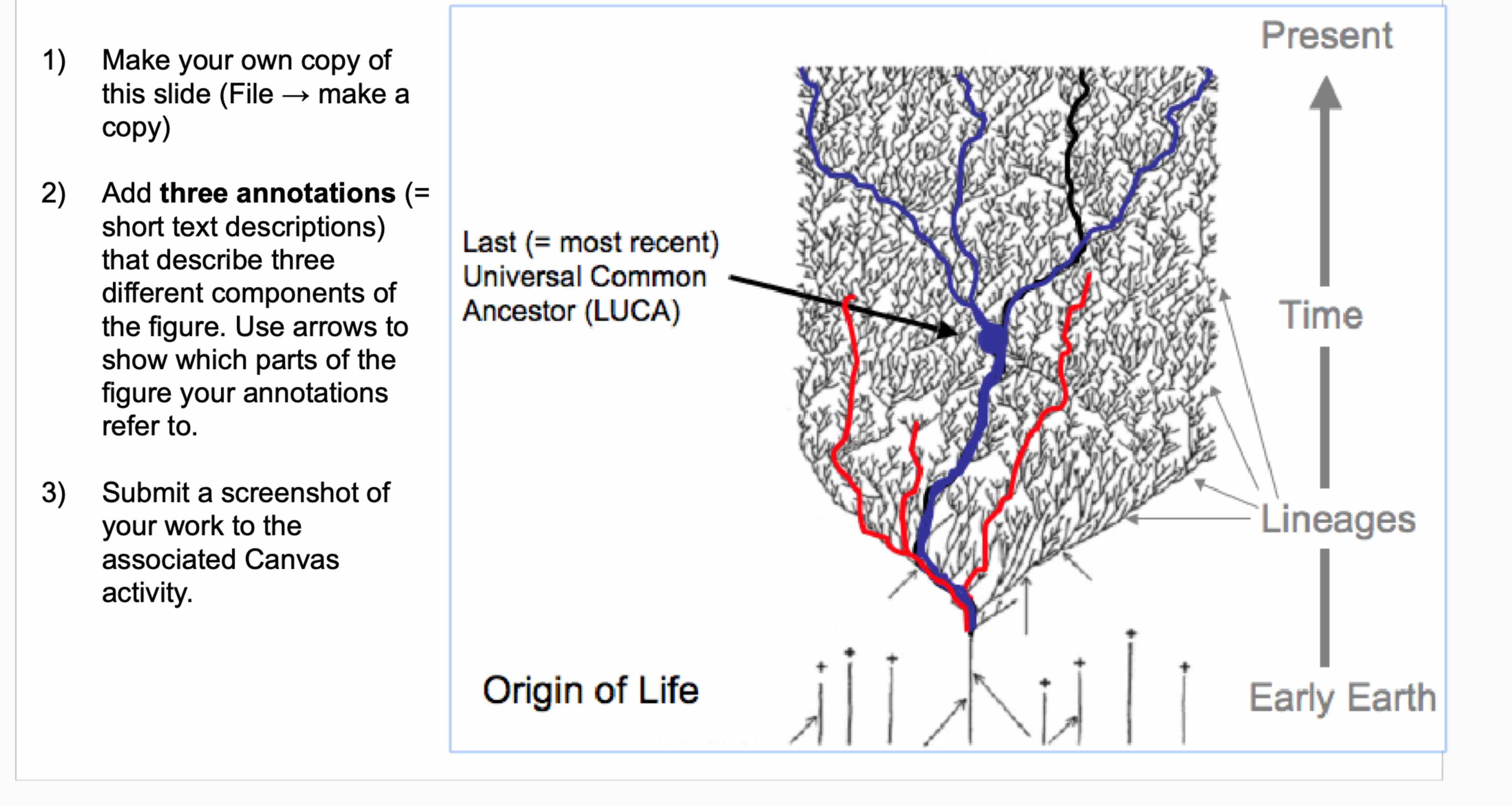 Solved Make your own copy ofthis slide (File → ﻿make | Chegg.com