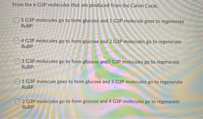 Solved From the 6 G3P molecules that are produced from the | Chegg.com