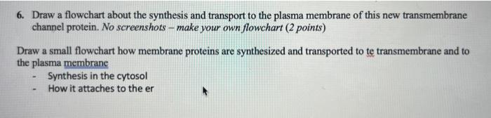 6. Draw a flowchart about the synthesis and transport | Chegg.com