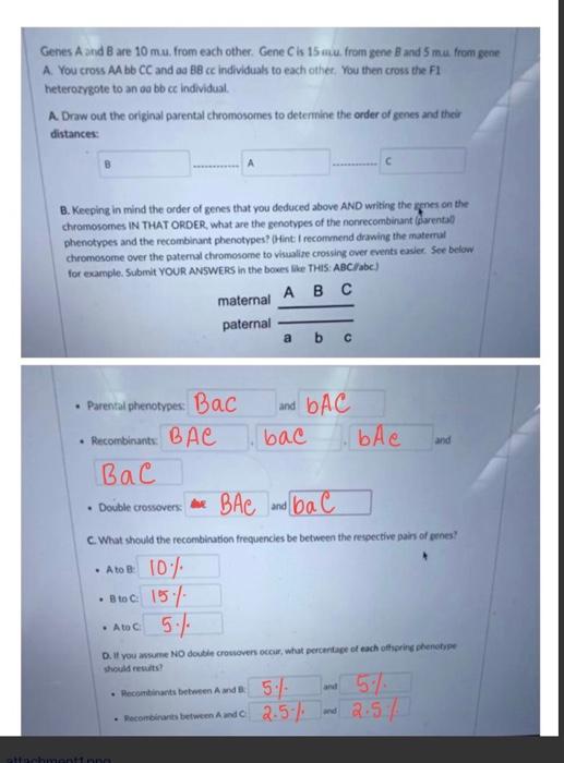 Solved Please show how to find the answers for the fill in | Chegg.com