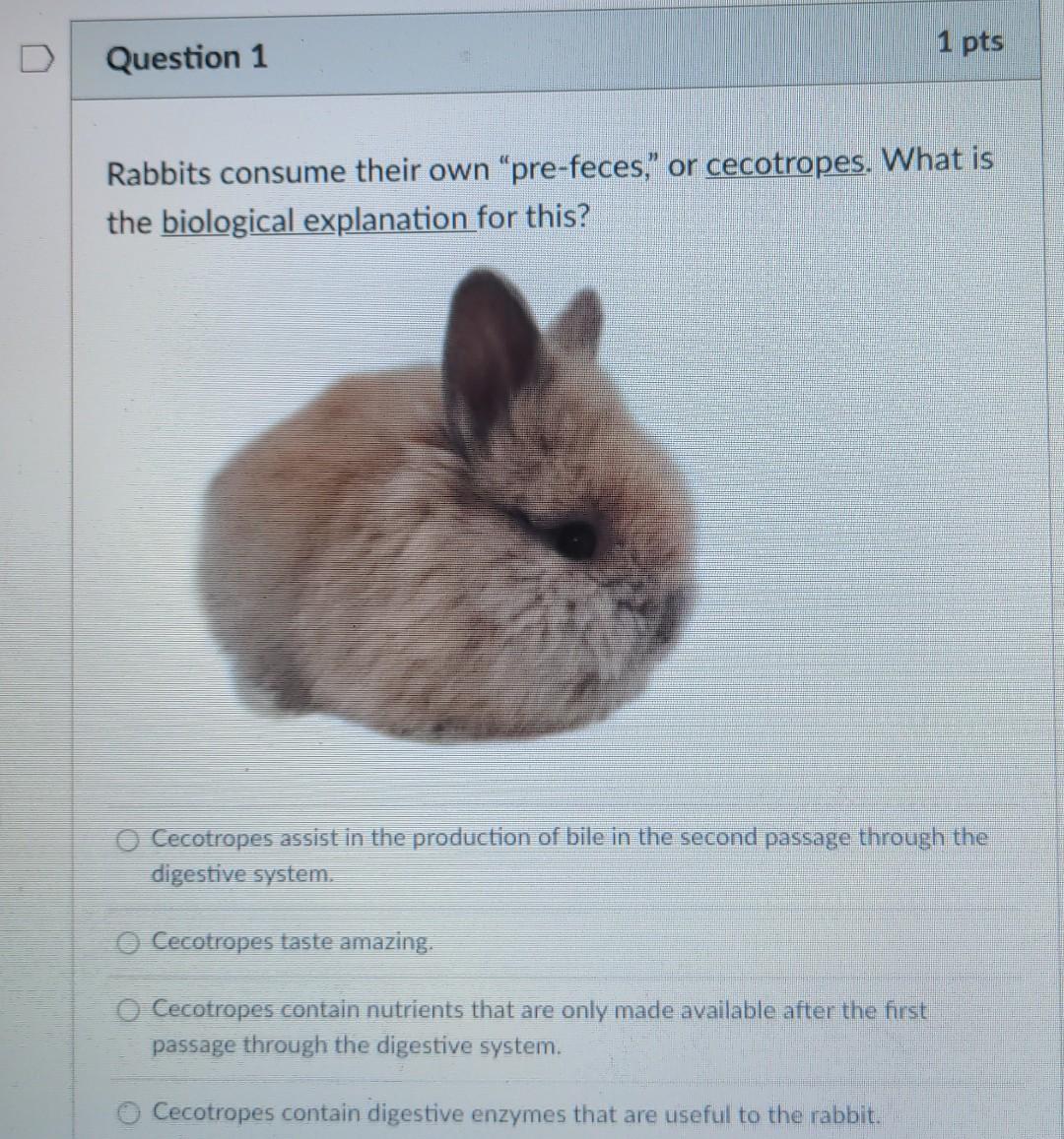 Solved 1 pts Question 1 Rabbits consume their own | Chegg.com