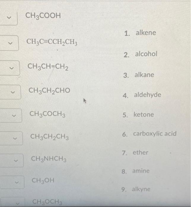 Solved CH3COOH > 1. alkene > CH3C=CCH2CH3 2. alcohol | Chegg.com