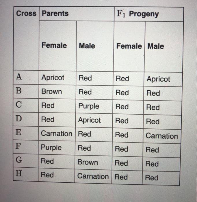 Solved Four eye-color mutants in Drosophila -- apricot, | Chegg.com