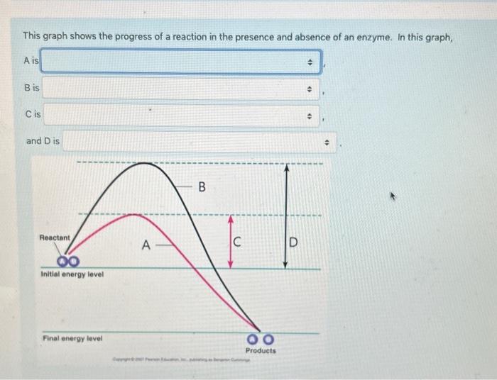 Solved This graph shows the progress of a reaction in the | Chegg.com