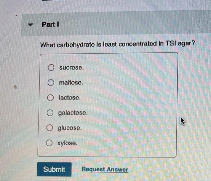 Solved Interpret the following set of IMVic reactions. | Chegg.com