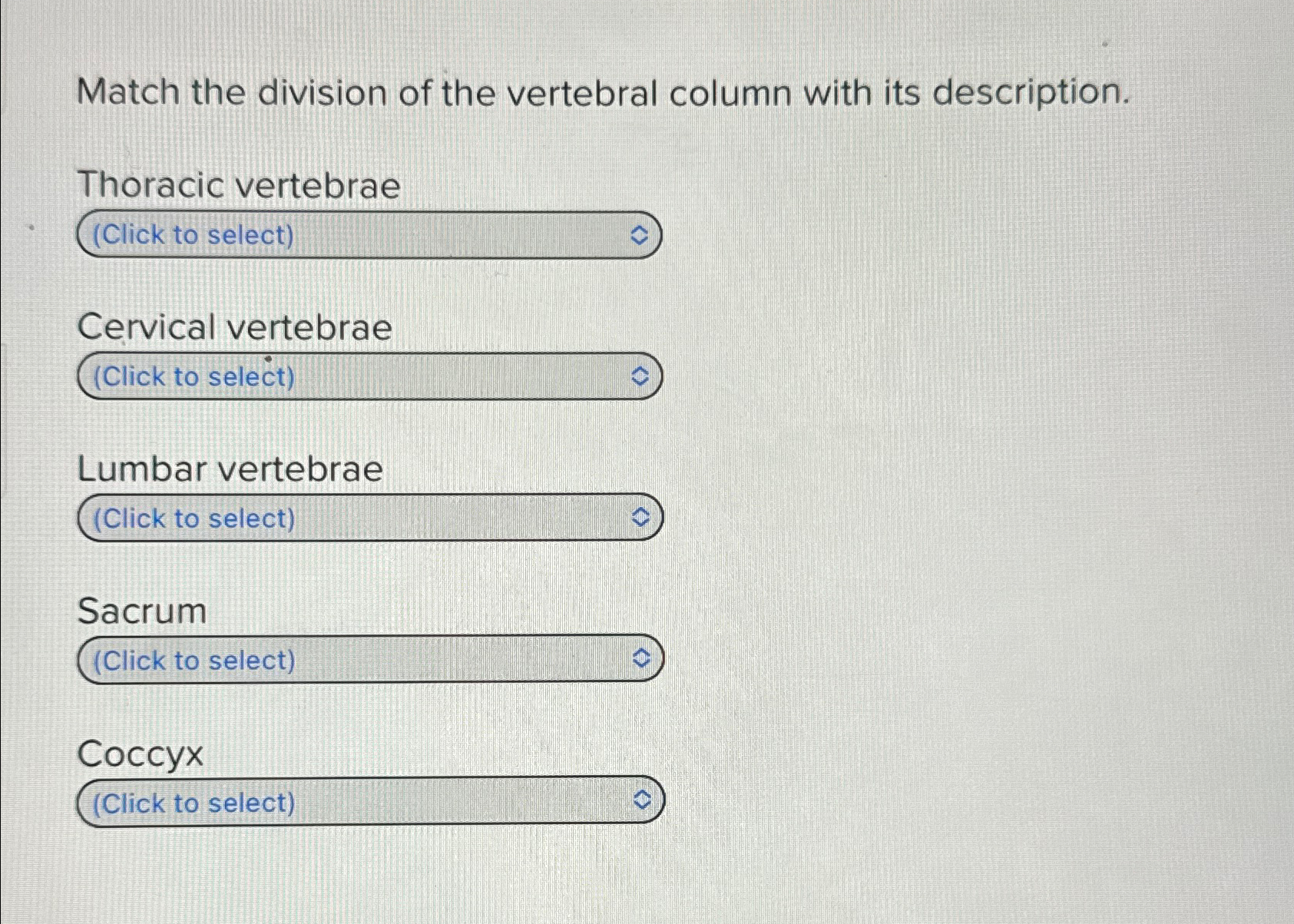 Solved Match the division of the vertebral column with its | Chegg.com