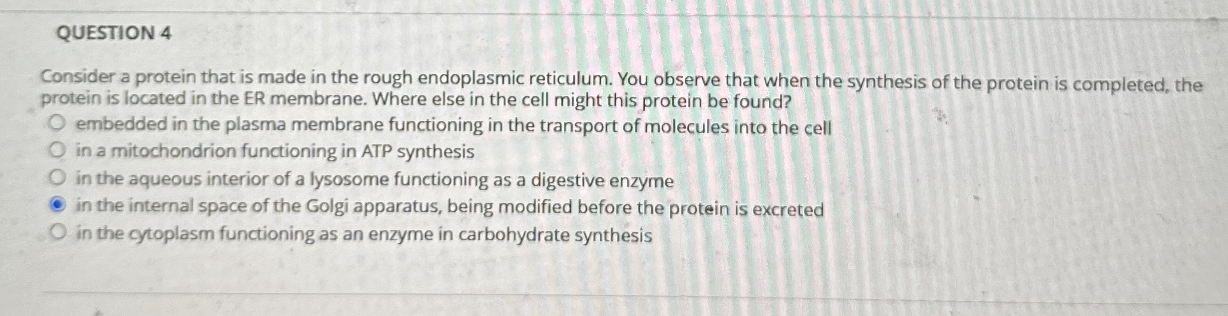 Solved QUESTION 4Consider a protein that is made in the | Chegg.com